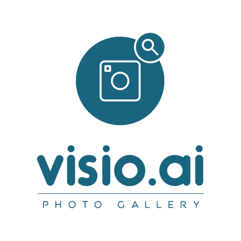Visio.AI Gallery